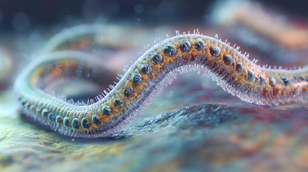 Przychodnia dla dorosłych i dzieci - Kalisz | Kids Clinic